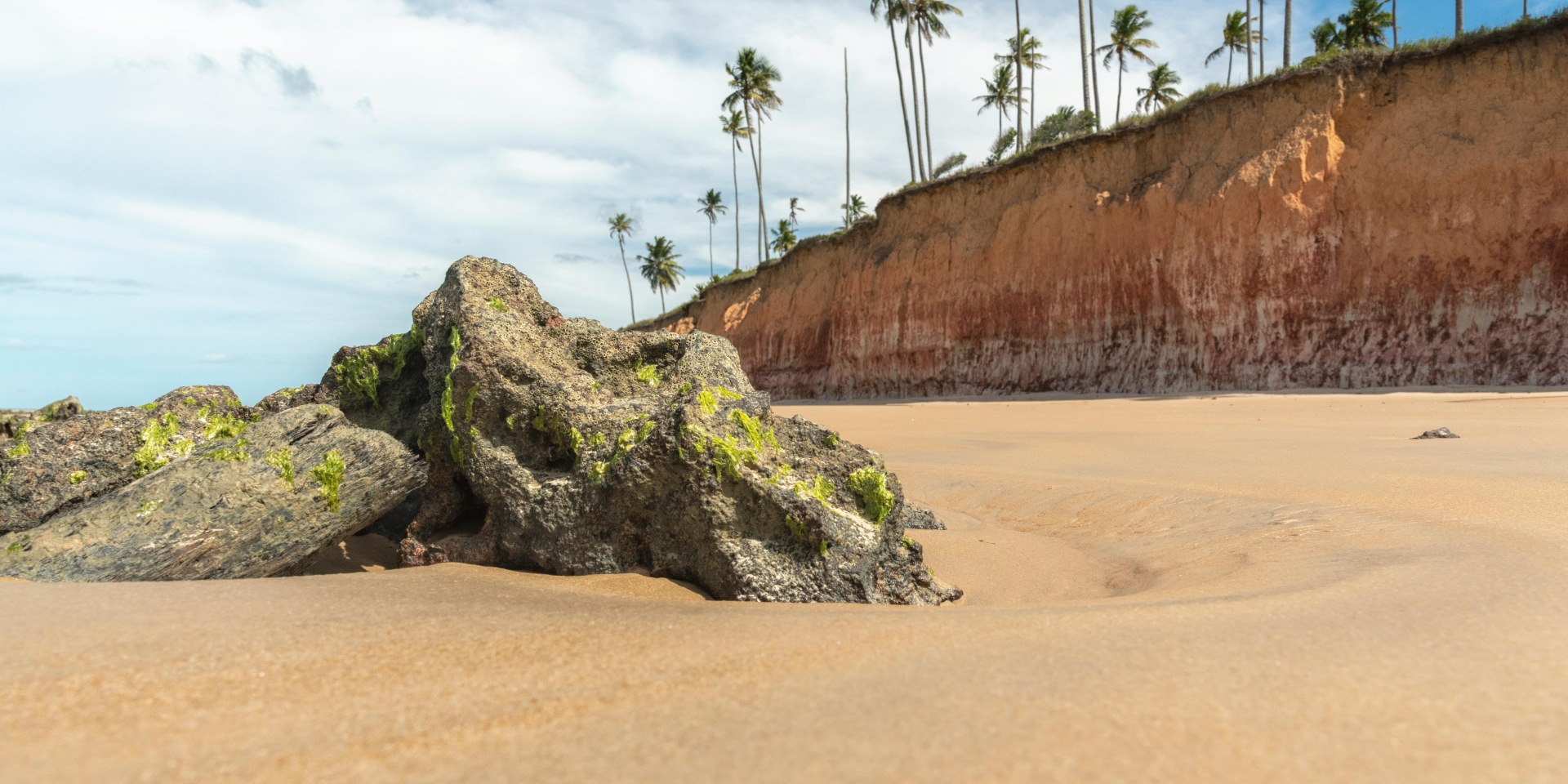 Anasamba - Amigos e Naturais da Samba